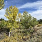 Memmen Ridge Open Space Trail, Colorado - 266 Reviews, Map | AllTrails
