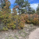 Memmen Ridge Open Space Trail, Colorado - 266 Reviews, Map | AllTrails