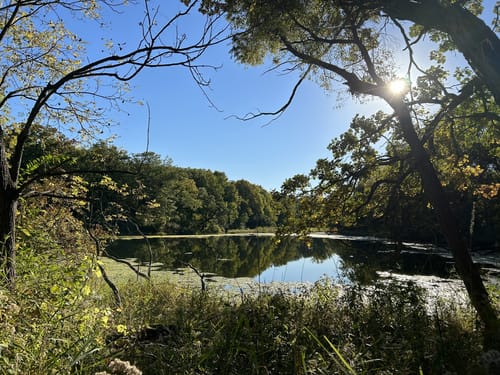 Best Hikes and Trails in Stickney Run Conservation Area | AllTrails