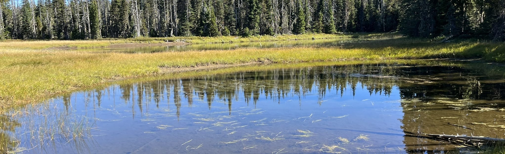 Maxwell Butte Trail, Oregon - 183 Reviews, Map | AllTrails