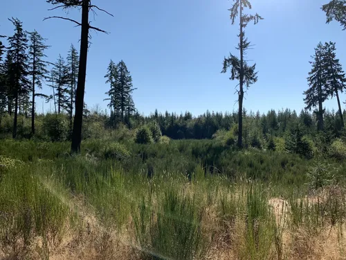 Best Horseback Riding Trails in Gig Harbor | AllTrails