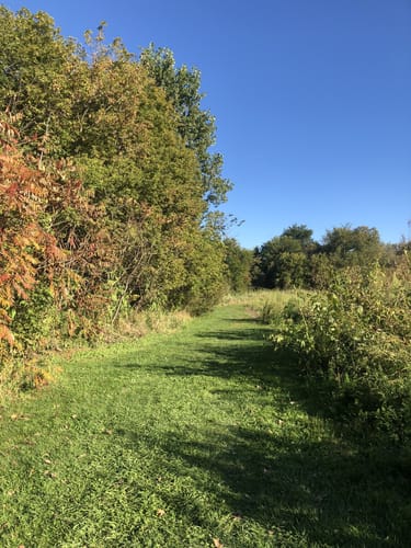 Best Hikes and Trails in Prairie Wolf Park | AllTrails