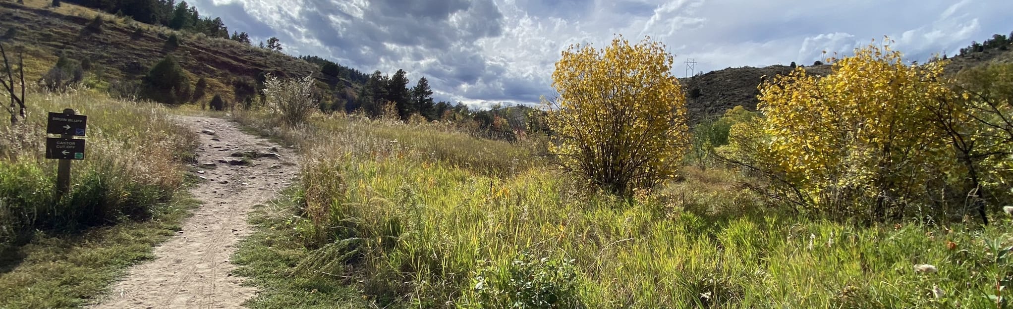 Castor Cut-Off Trail, Colorado - 176 Reviews, Map | AllTrails