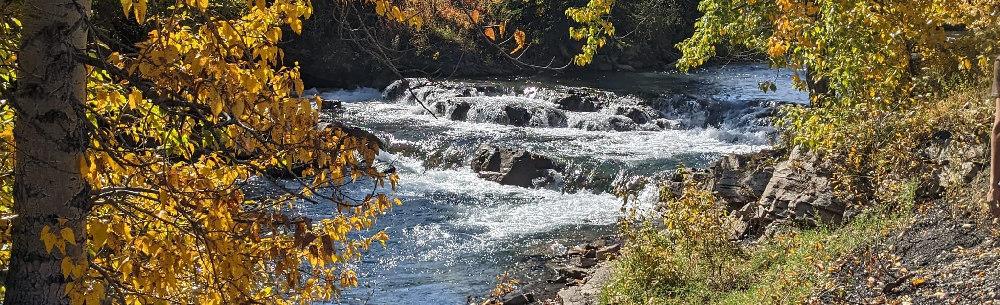 Crowsnest Community Trail, Alberta, Canada - 42 Reviews, Map | AllTrails