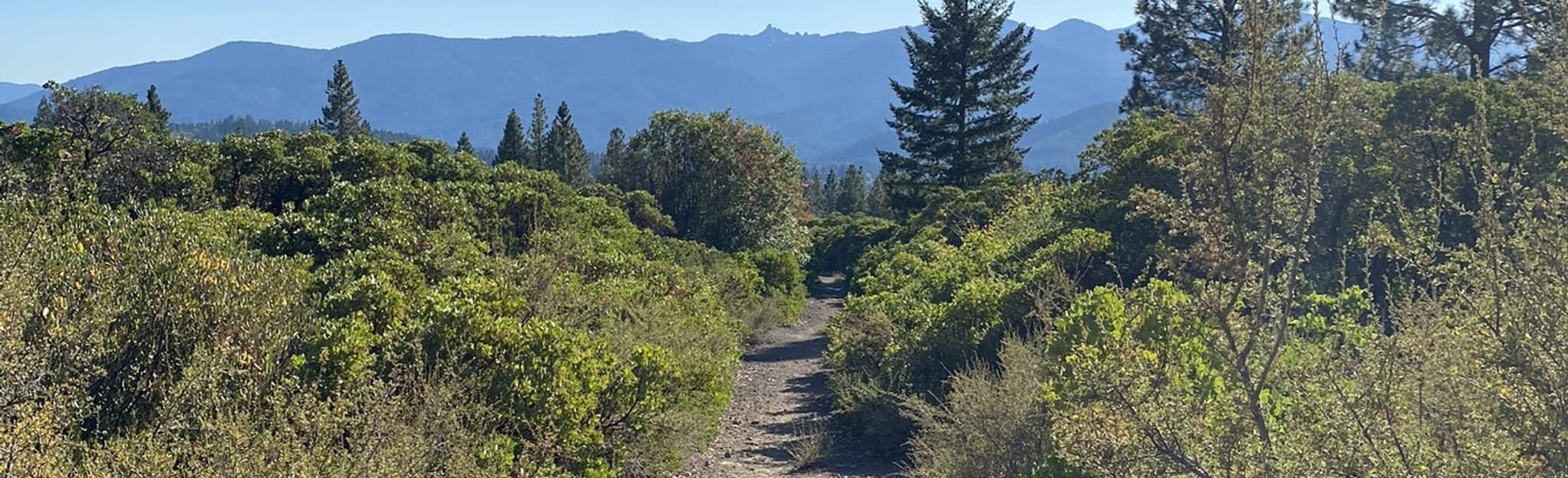 Gateway Trail to Marley, Stump, Pig Farm, Tunnel Trail Loop: 24 Reviews ...