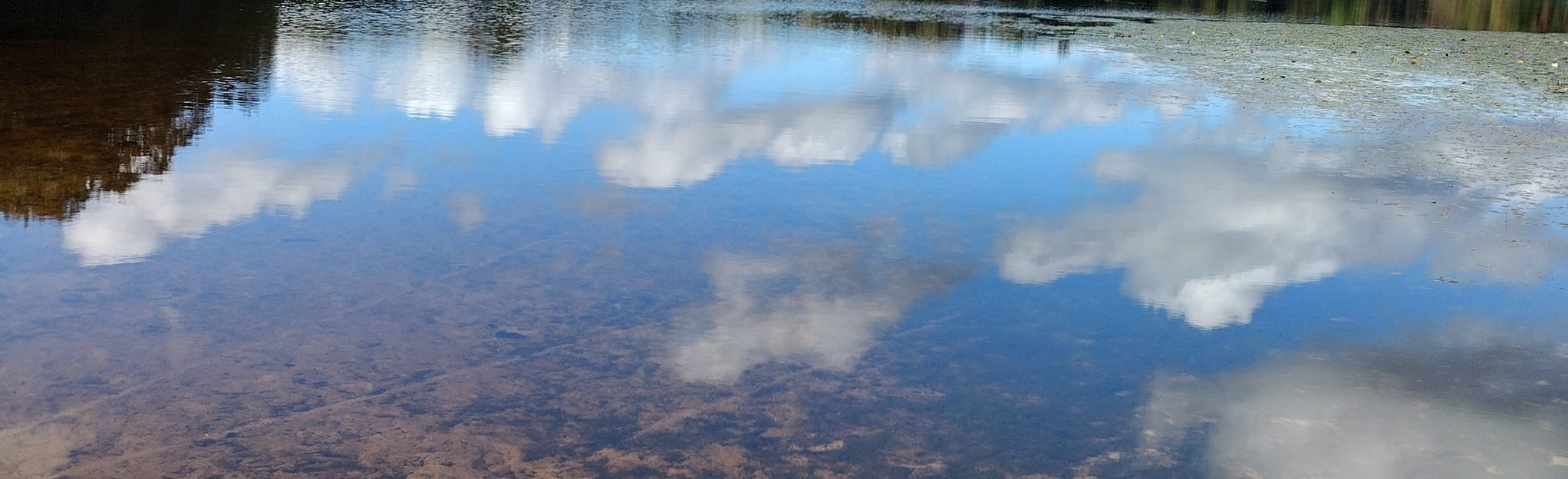 Crooked Lake Loop Trail: 15 Reviews, Map - Michigan | AllTrails