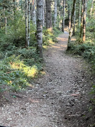 Best Hikes and Trails in Silvermine Trail | AllTrails