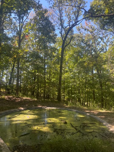 Best Hikes and Trails in Powder Valley Conservation Nature Center ...