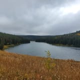 Reesor Lake Trail, Alberta, Canada - 33 Reviews, Map | AllTrails
