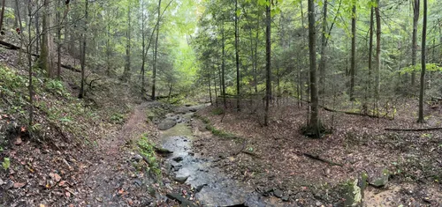 10 Best Views Trails in Kanawha State Forest | AllTrails