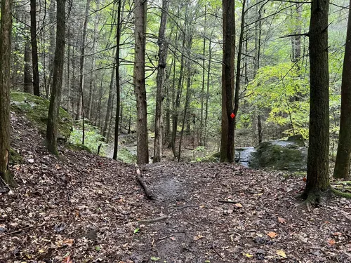 Best Easy Trails in Kanawha State Forest | AllTrails