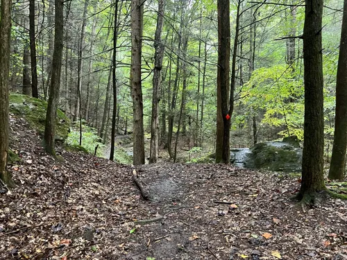 Best Easy Trails in Kanawha State Forest | AllTrails