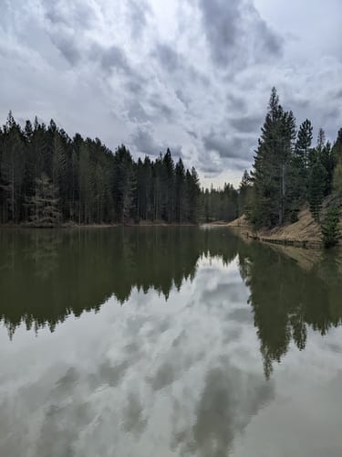 Best Hikes and Trails in Naseby Forest | AllTrails