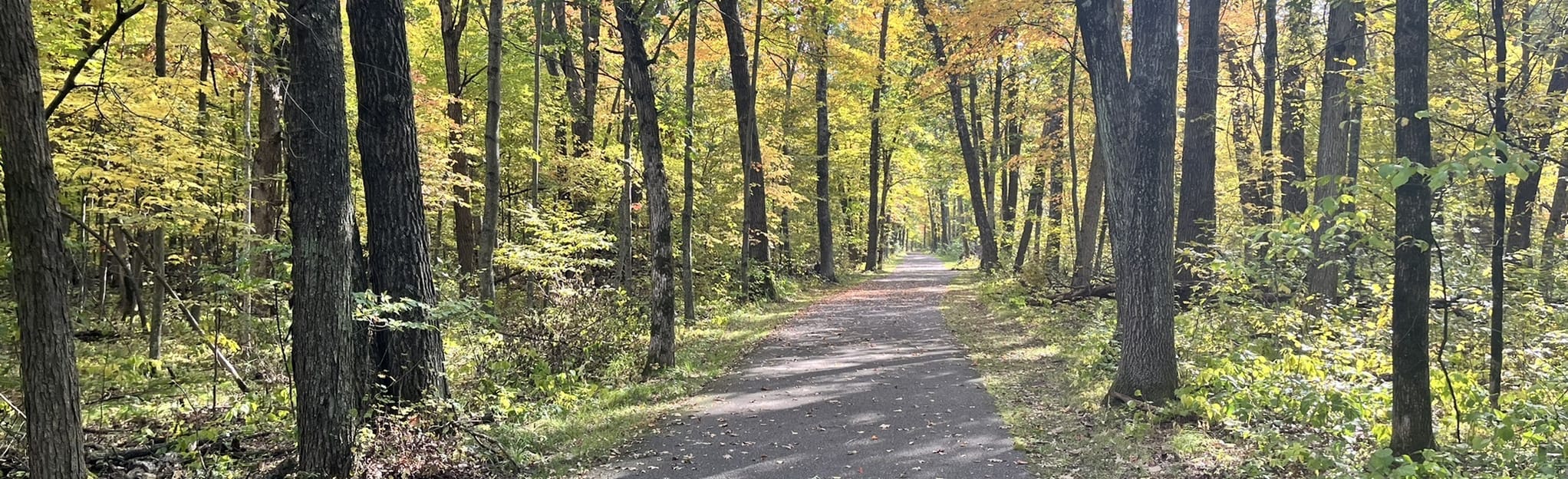 Old Logging Trail, Minnesota - 29 Reviews, Map | AllTrails