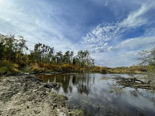 10 Best Hikes and Trails in Turtle Mountain Provincial Park | AllTrails