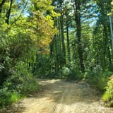 Blue Ridge Gap to Sharp Top, Georgia - 99 Reviews, Map | AllTrails