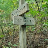 Blue Ridge Gap to Sharp Top, Georgia - 99 Reviews, Map | AllTrails