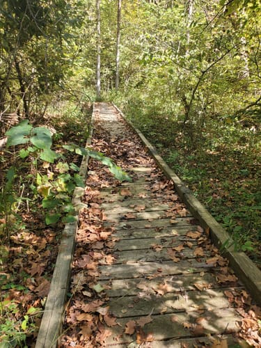 2023 Best 10 Long Trails in Mark Twain National Forest | AllTrails
