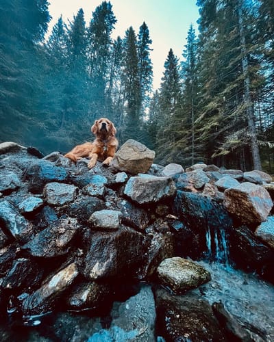 2023 Best Backpacking Trails in Selway-Bitterroot Wilderness | AllTrails