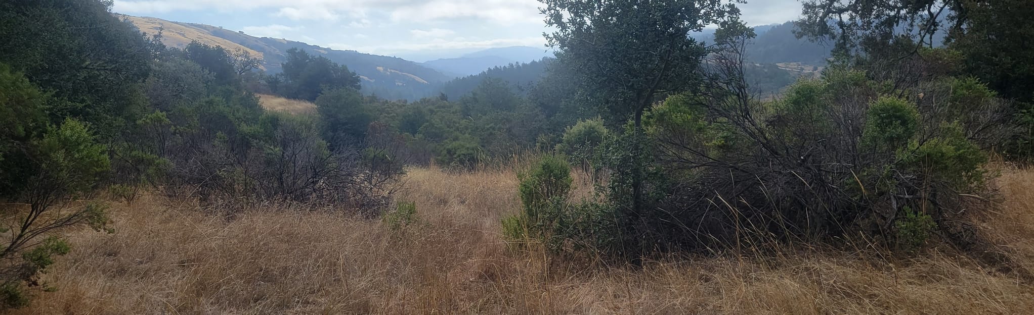 AllTrails | Stevens Creek Nature Trail and Lower White Oak Trail Loop ...
