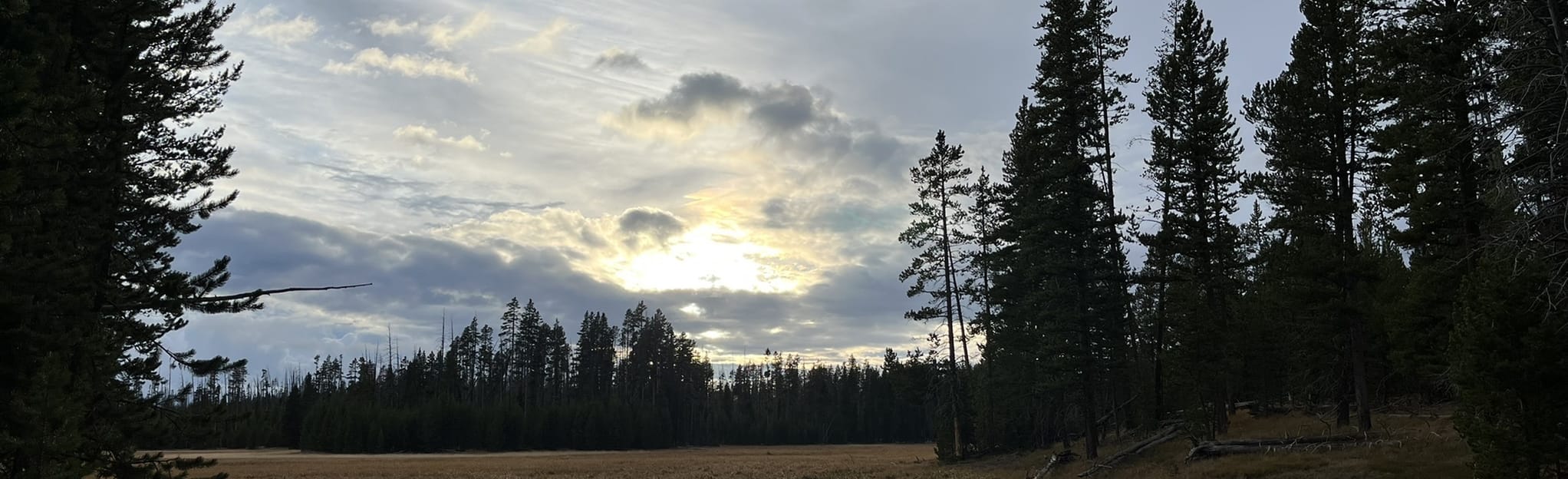 Riddle Lake Trail: 129 Reviews, Map - Montana | AllTrails