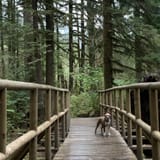 Cedars Mill Trail, British Columbia, Canada - 724 Reviews, Map | AllTrails