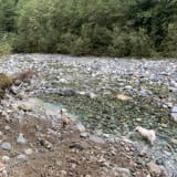 Cedars Mill Trail, British Columbia, Canada - 724 Reviews, Map | AllTrails