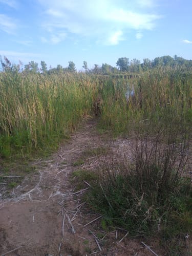 Best Hikes and Trails in Grobschmidt Park | AllTrails