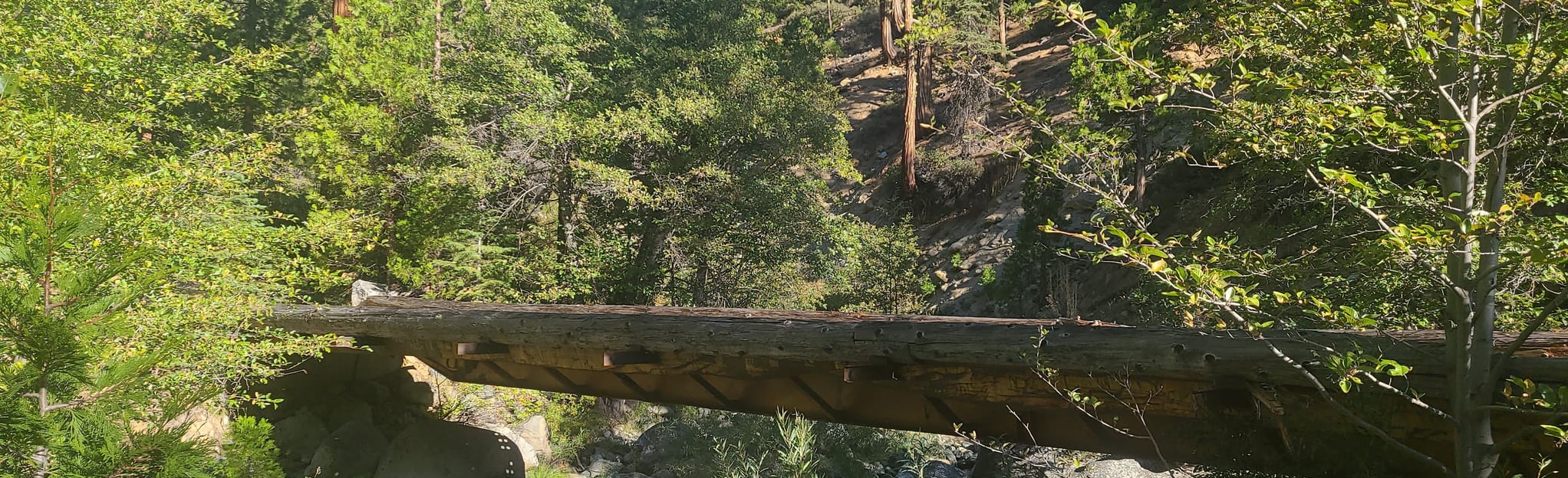 Log Lake Trail, California - Map, Guide | AllTrails