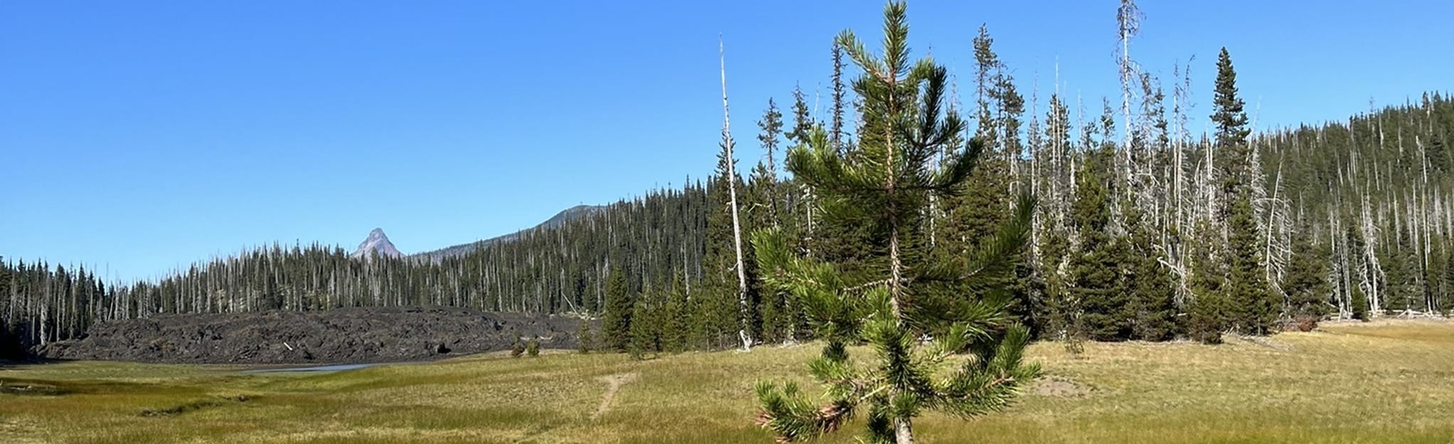 Hand Lake via Scott Lake: 17 Reviews, Map - Oregon | AllTrails