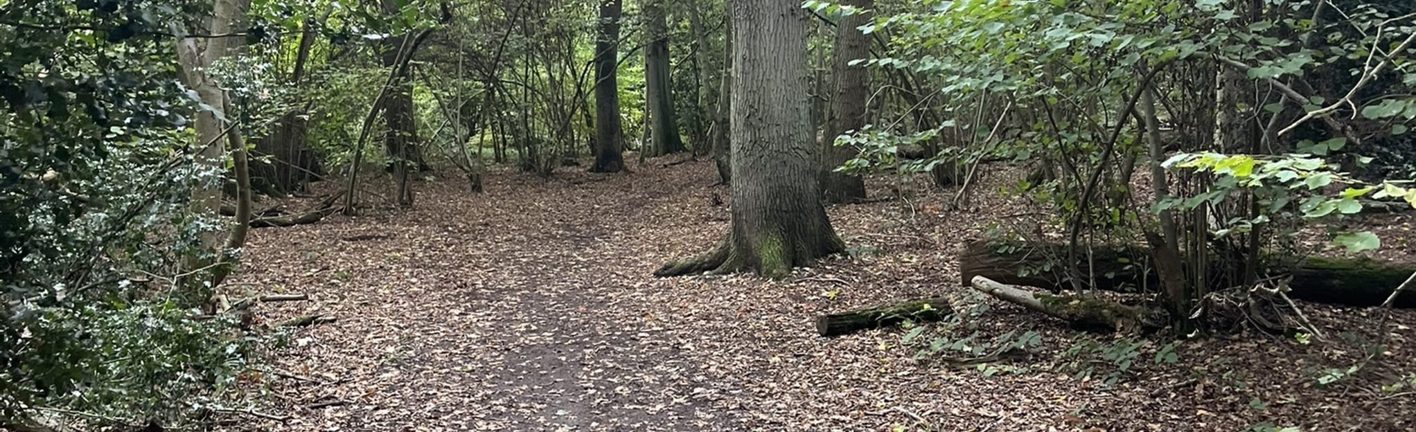 Shotover Country Park Circular: 173 Reviews, Map - Oxfordshire, England ...