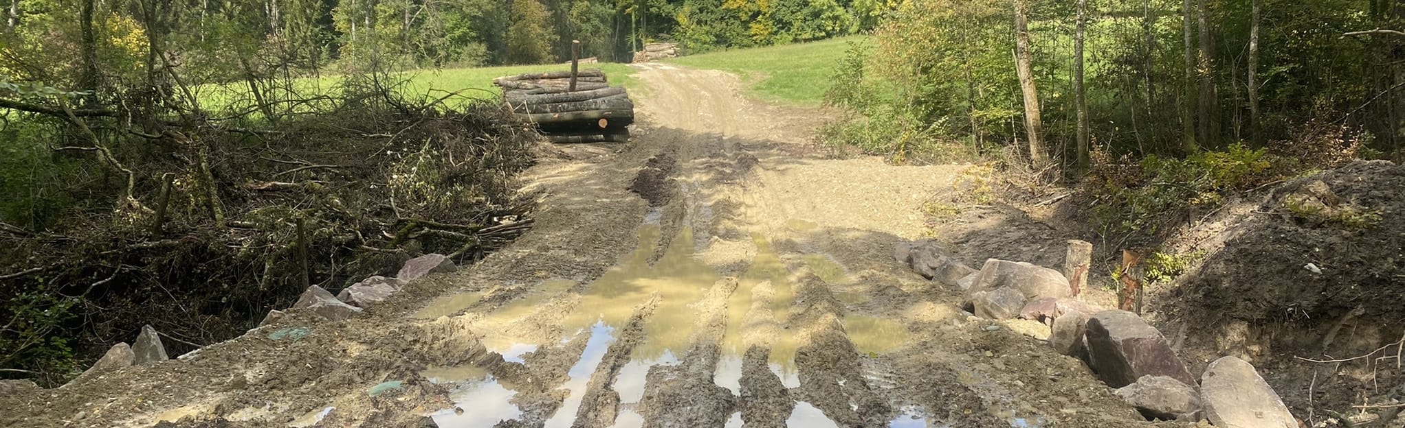 Rund um Ruine Nellenburg: 2 foto's - Baden-Württemberg, Duitsland ...