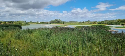 Best Hikes and Trails in Rye Nature Reserve | AllTrails