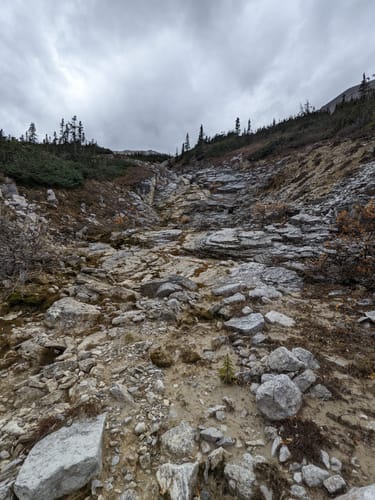 Best Hikes and Trails in Muncho Lake Provincial Park | AllTrails