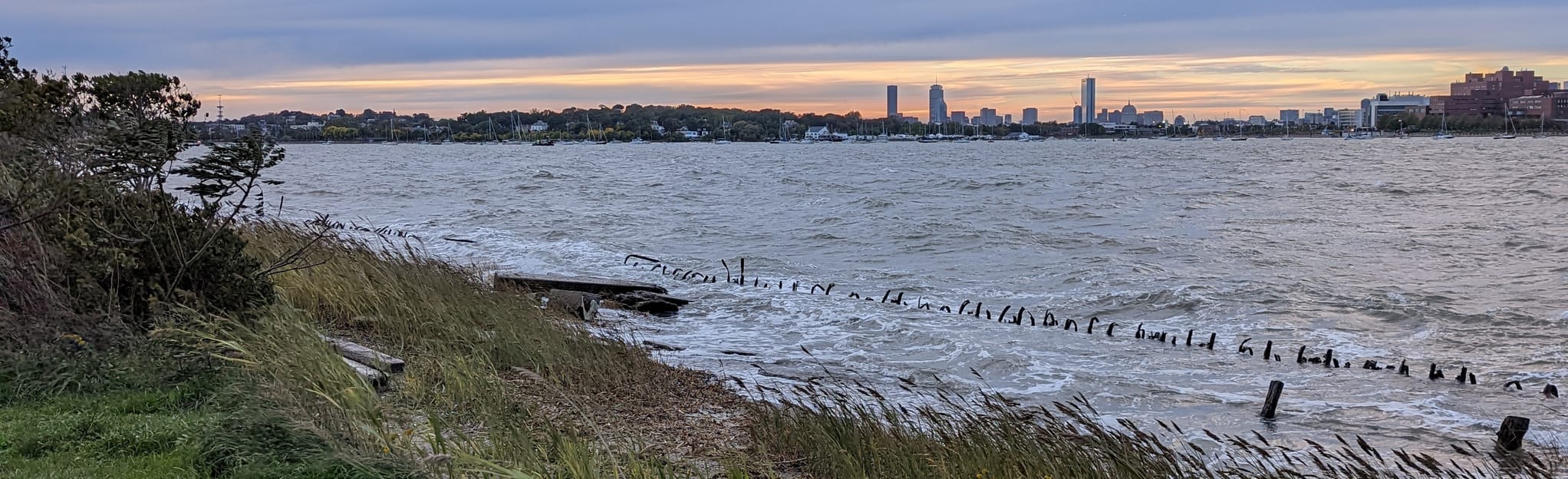 Squantum Point, Massachusetts - 102 Reviews, Map | AllTrails
