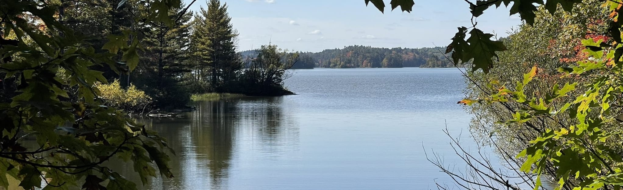 Al Quaal Trail | Map, Guide - Michigan | AllTrails