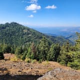 Red Top Lookout Trail, Washington - 482 Reviews, Map | AllTrails