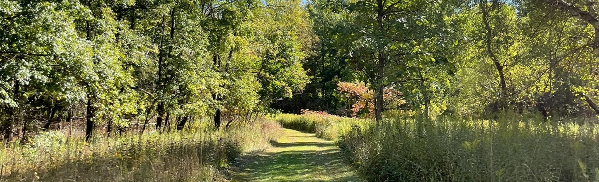 Cranberry Lake Park Trail - Michigan | AllTrails