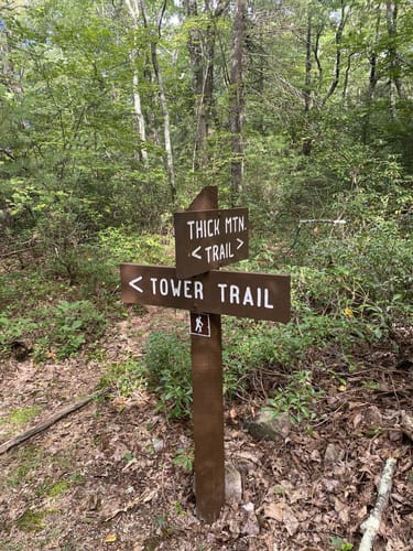 Best Hikes and Trails in Snyder-Middleswarth Natural Area | AllTrails
