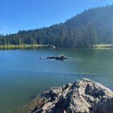 Thorp Lake via Thorp Creek Trail, Washington - 136 Reviews, Map | AllTrails