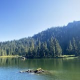 Thorp Lake via Thorp Creek Trail, Washington - 173 Reviews, Map | AllTrails