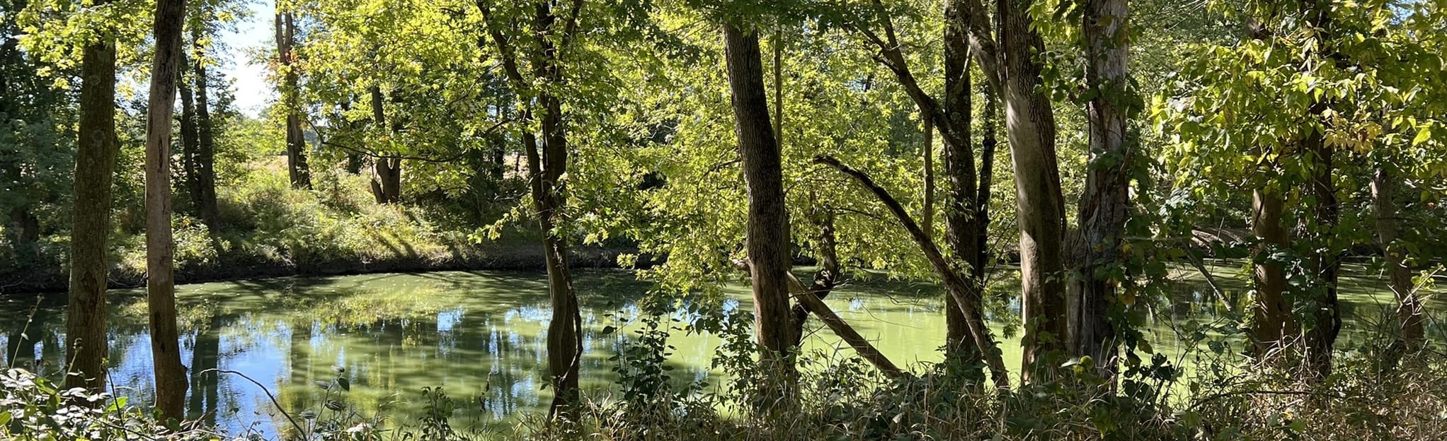 Ouabache State Park Bike Path, Indiana - 56 Reviews, Map | AllTrails