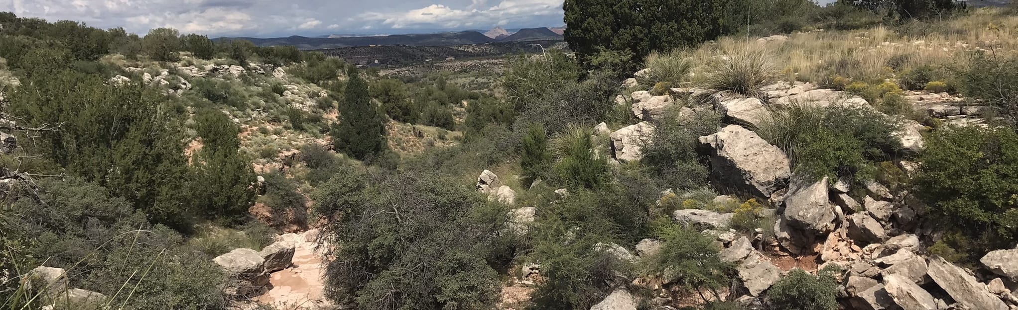 Bull Pasture Trail, Arizona - 2 Reviews, Map | AllTrails Bull Pasture Trail, Arizona - 2 Reviews, Map | AllTrails