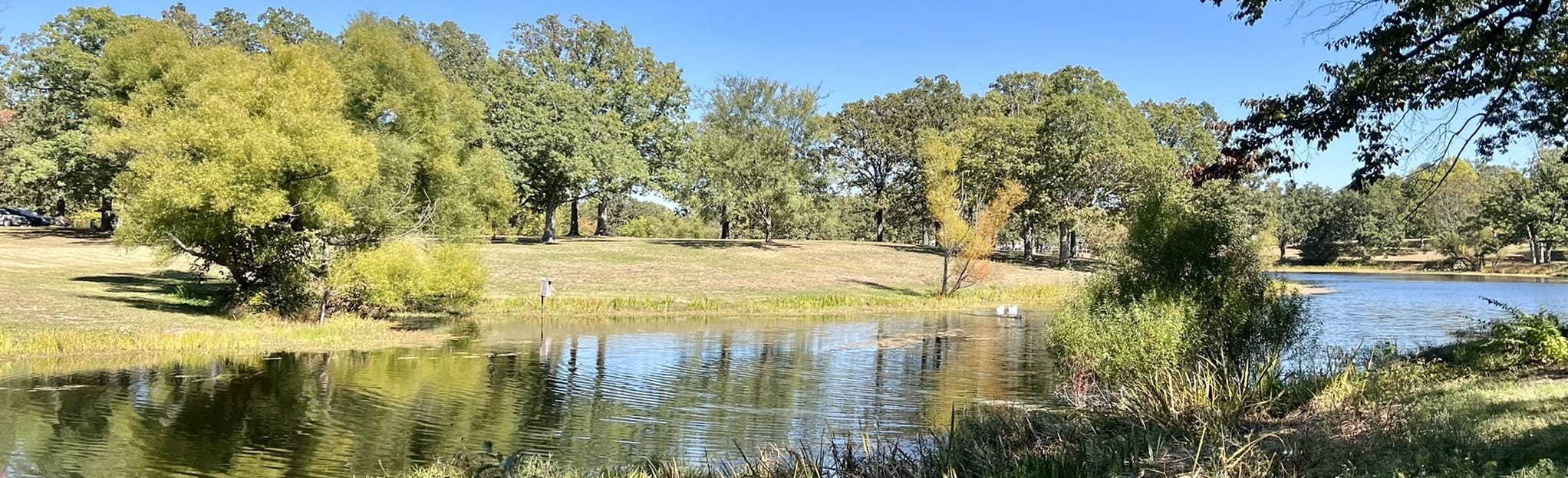City Park Lake Loop: 60 Reviews, Map - Missouri | AllTrails