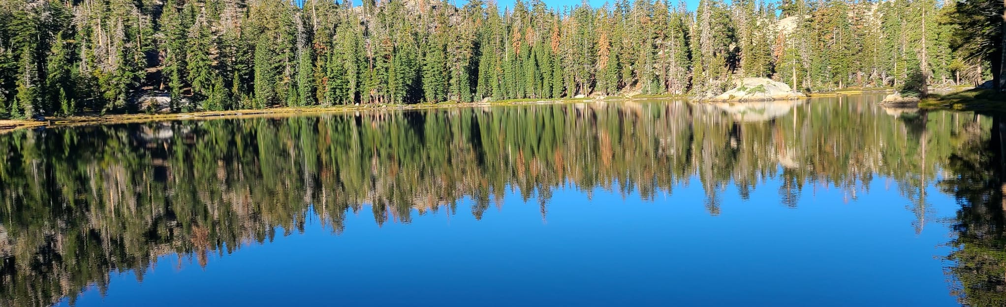 Bull Run Lake Trail: 292 Reviews, Map - California | AllTrails