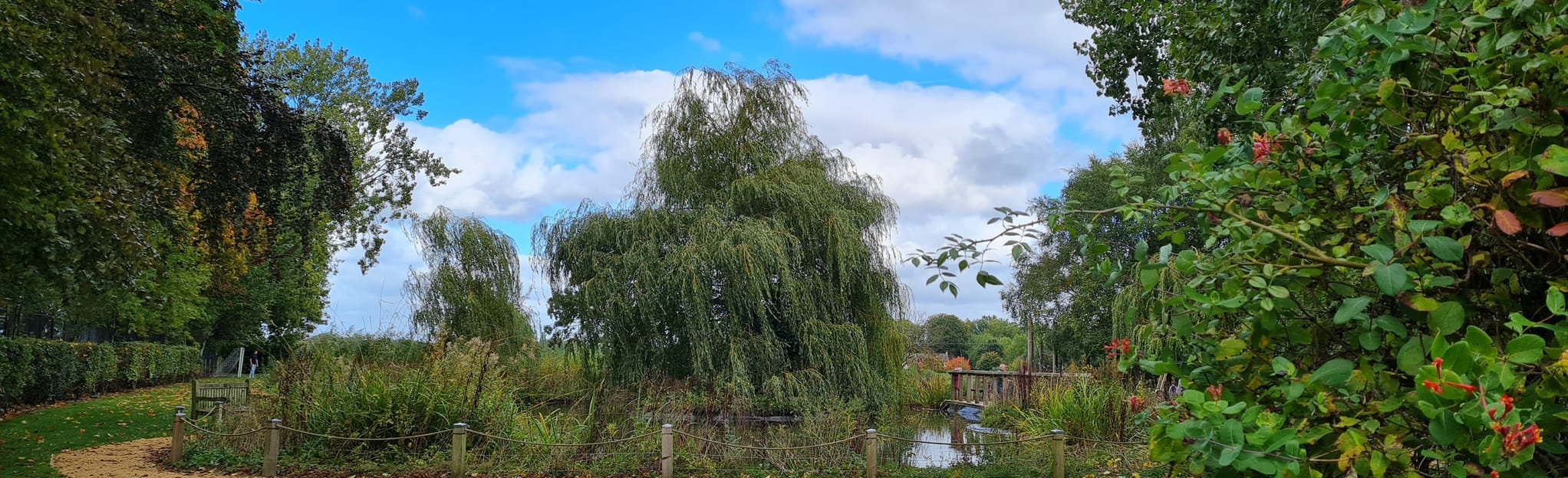 Hollins Green - Rixton Claypits Nature Reserve - Cheshire, England ...