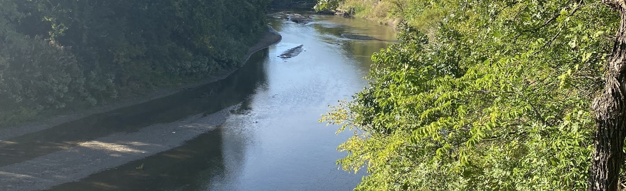 Marty Bender Nature Area Trail: 166 fotos - Kansas | AllTrails