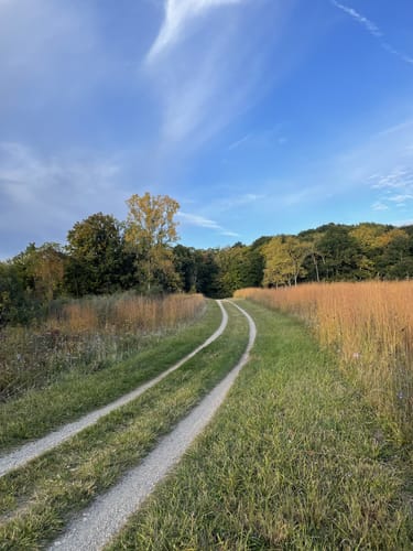 2023 Best 10 Trails and Hikes in Rochester | AllTrails