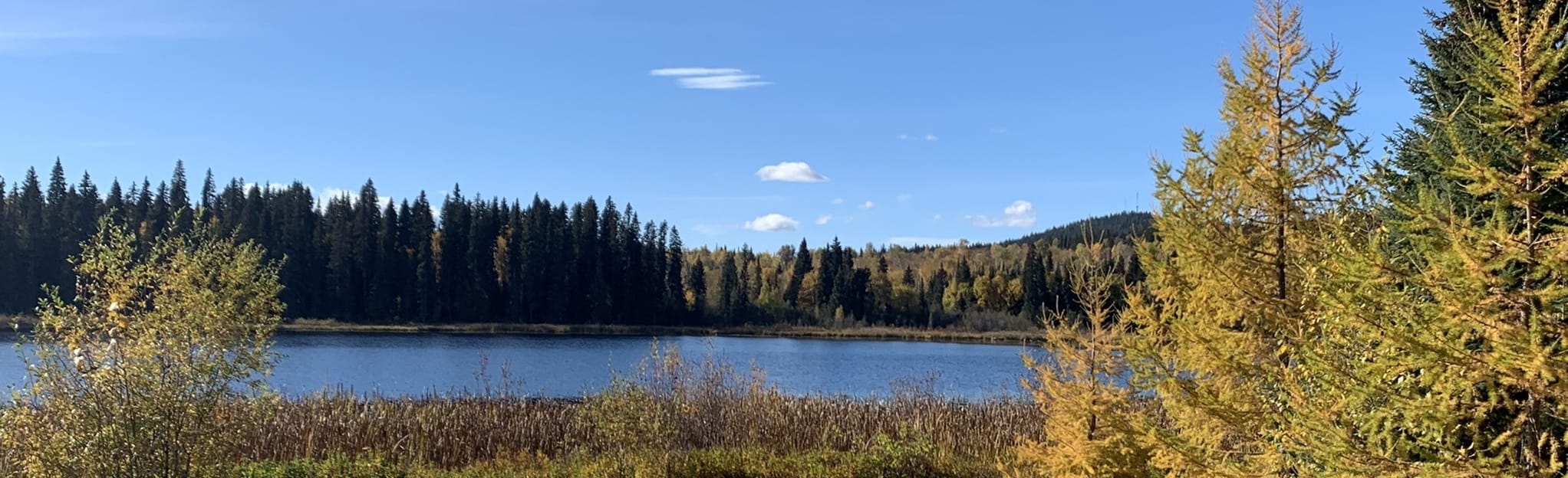 Ferguson Lake Interpretive Trail, British Columbia, Canada - 73 Reviews ...