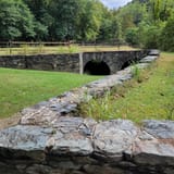 Virginius Island Trail, West Virginia - 203 Reviews, Map | AllTrails